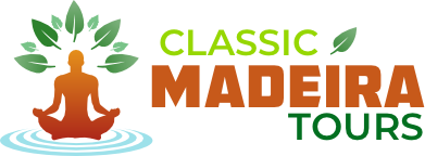 The Ultimate Madeira Wine Tour: Taste the Island's Best Vintages ...